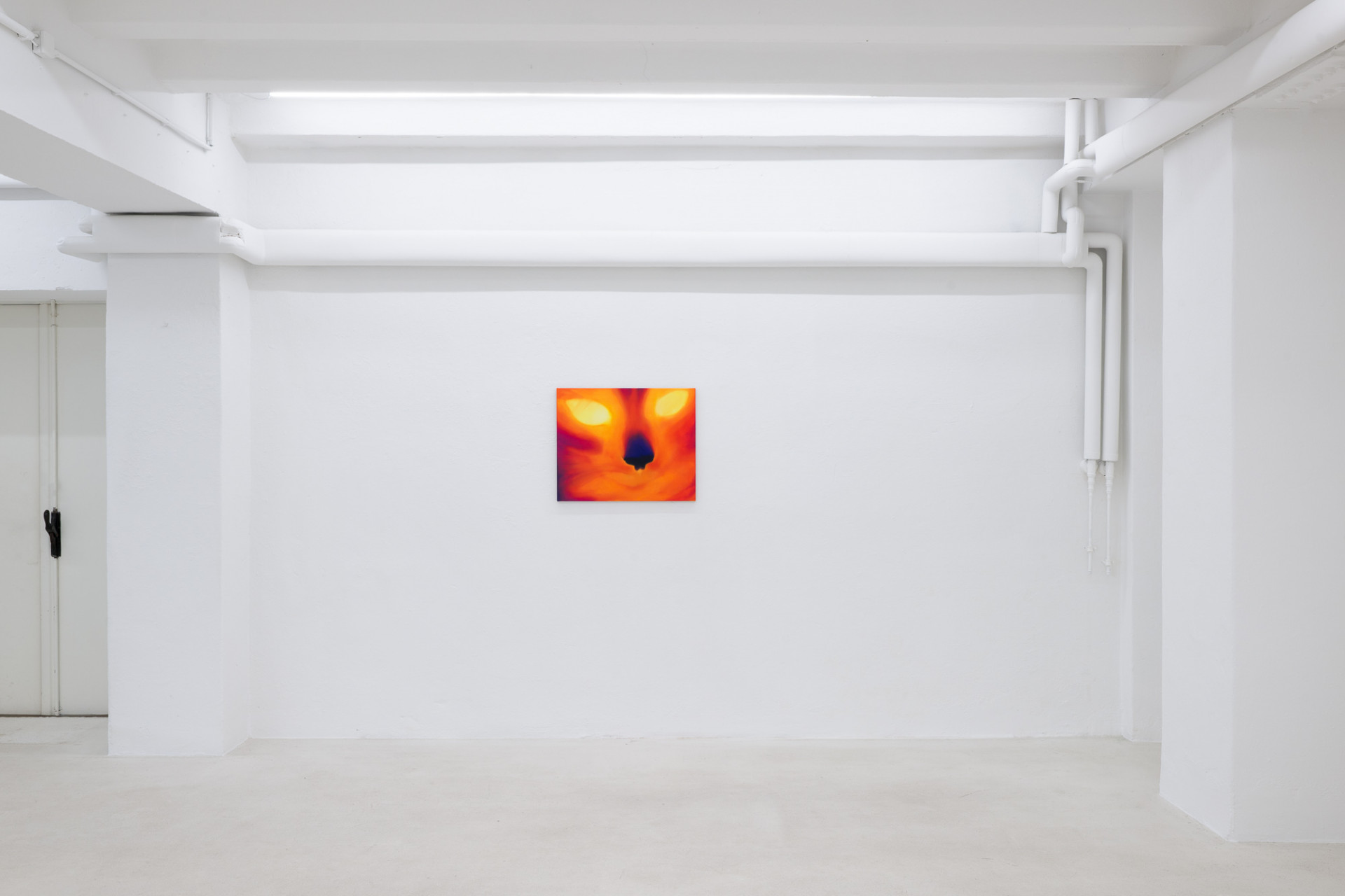 JVDW — David Benedikt Wirth